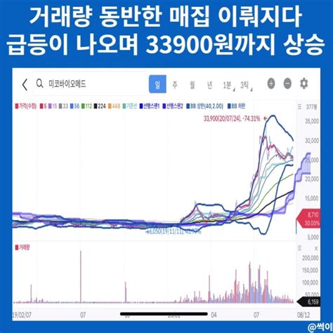 원숭이두창엠폭스 관련주 미코바이오메드 주가 흐름 및 전망 네이버 블로그