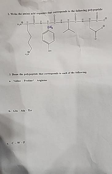 Solved Draw The Polypeptide That Corresponds To Each Of The