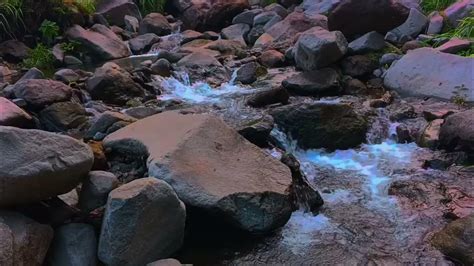 🌊최고의 강물 소리 Asmr 완벽한 수면과 깊은 평화를 위한 자연의 선물 😴 편안한 자연 소리로 스트레스 해소 And 집중력 향상 Youtube