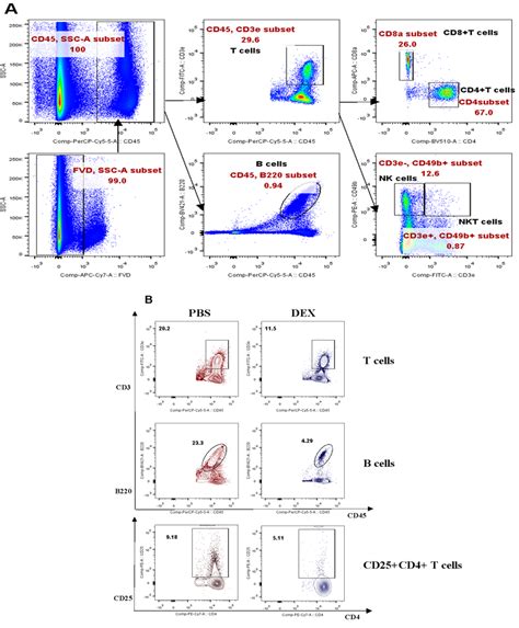 Revisit The Inhibitory Effects Of Glucocorticoids On Immunocytes