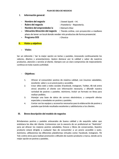 Plan De Idea De Negocio Ejemplo Pdf
