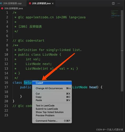 变量命名神器codelf codelf网页版 csdn博客