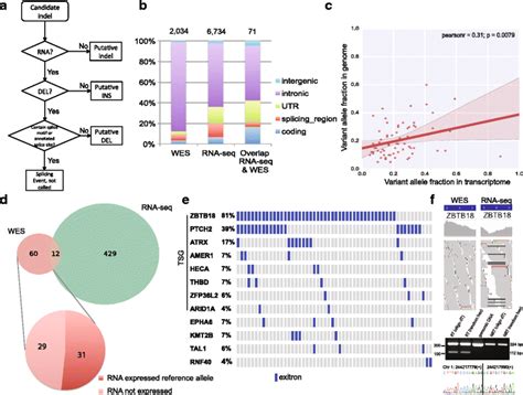 Indel Detection On Rna Seq Data A Transindel Workflow Of Calling