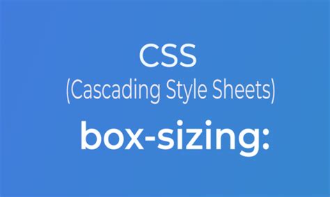 CSS Box Sizing CodeBridePlus Com