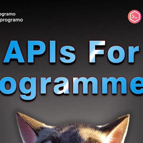 learnprogramo coding programming 100k on instagram learn programo x codergallery apis