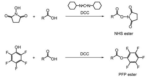 Recent Advances In Polymers Bearing Activated Esters For The Synthesis