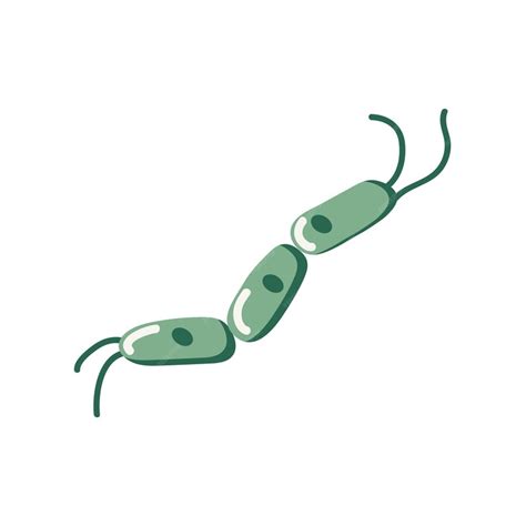 박테리아 아이콘 클립 아트 아바타 로고타입 격리 벡터 일러스트 프리미엄 벡터
