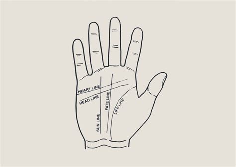 Palmistry Hand Guide What Your Hand Lines Say About Love Career