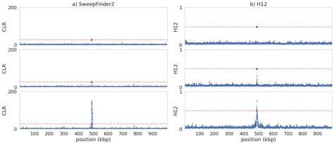 Example Patterns Around A Single Selective Sweep For Different Values