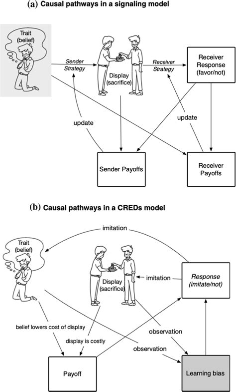 Schematic Illustration Of The Causal Pathways Involved In Signaling