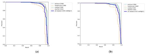 Jmse Free Full Text Underwater Object Detection Algorithm Based On