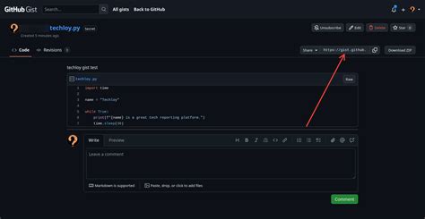 How To Use Gists On Github