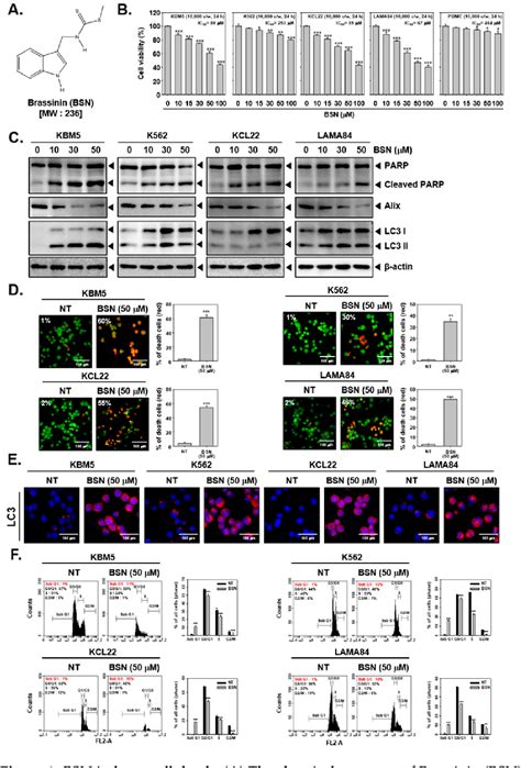Figure 1 From Brassinin Induces Apoptosis Autophagy And Paraptosis