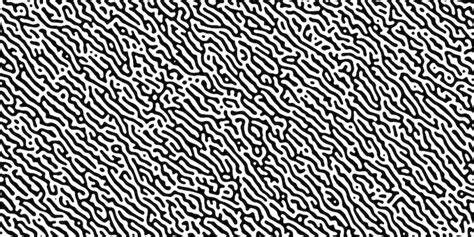 Premium Vector Turing Reaction Diffusion Black And White Seamless Pattern With Chaotic Motion