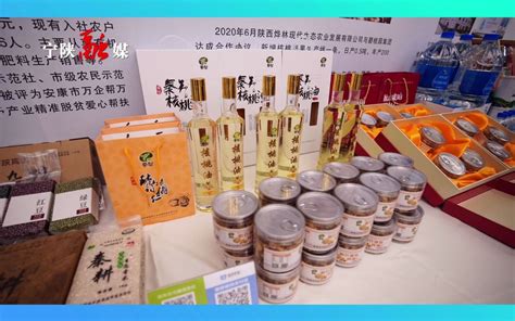 宁陕山珍将亮相第六届丝博会哔哩哔哩bilibili