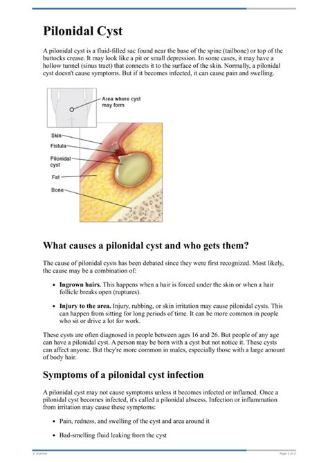 Text Pilonidal Cyst Healthclips Online