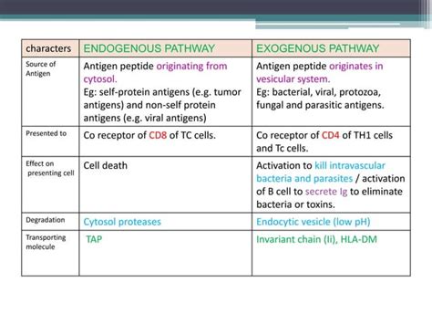 Exogenous Antigen Presentation And Processing Pptx