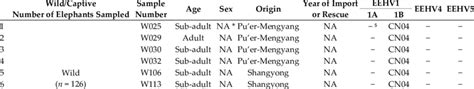 Age Sex Origin And Eehv Strains Of The Elephants That Tested Eehv
