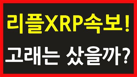 리플 코인 전망 Xrp 분석 고래는 샀을까 팔았을까 매우 궁금하다 Youtube