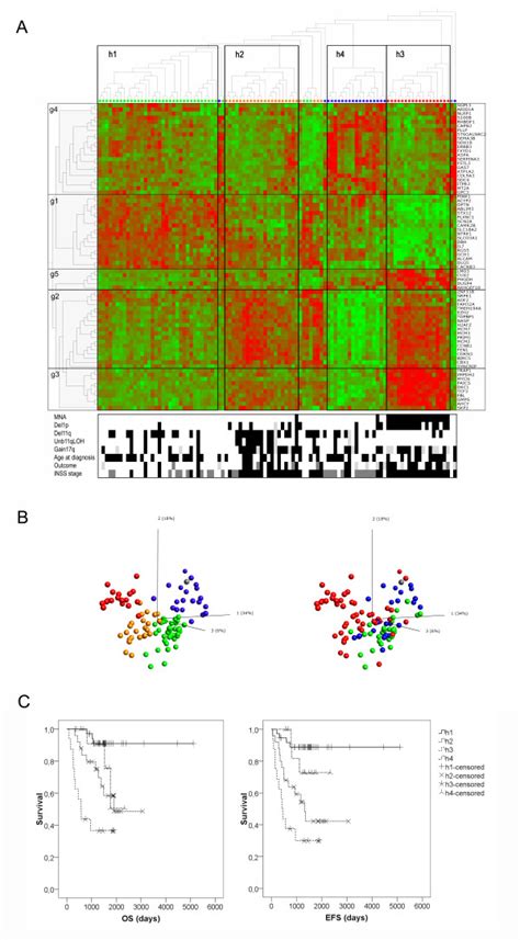 Hierarchical Clustering Using A 74 Discriminative Gene Set A
