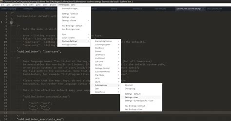 sublime text configurer sublimelinter pour améliorer son développement