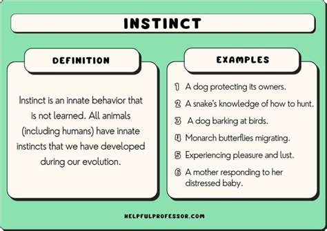 Instinct Psychology Examples Fawn Response Adding To The Fight