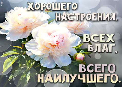 Картинки Хорошего Настроения ТОП Картинки