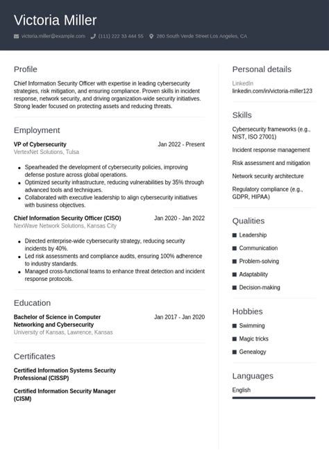 Ciso Resume Writing Guide And Tips Jobseeker