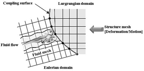 Jmse Free Full Text Fluid Structure Interaction Analysis And