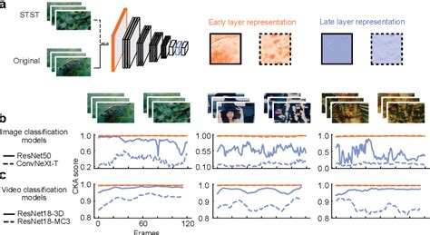 A Spatiotemporal Style Transfer Algorithm For Dynamic Visual Stimulus