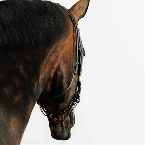 Kožená Jazdecká Uzdička 580 Pre Kone A Poníky štrasová čierna Decathlon