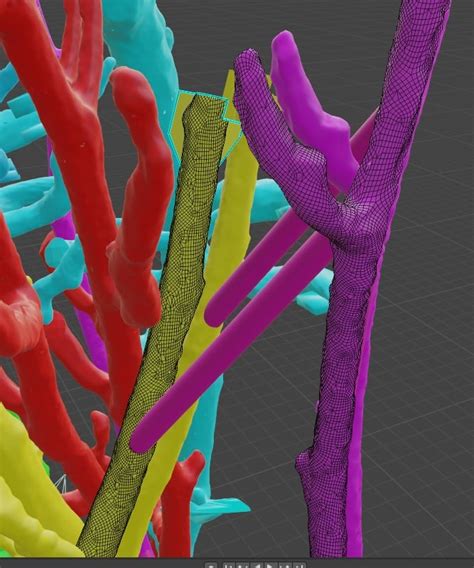 Generated Cylinder Between Two Verts R Blenderhelp