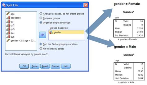 Features Data Setup In SPSS Statistics Laerd Statistics Spss Statistics Data