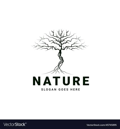 Tree Logo Without Leaves Inspired By Autumn Trees Vector Image