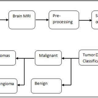 Block Diagram Of Brain Tumor Diagnosis Download Scientific Diagram
