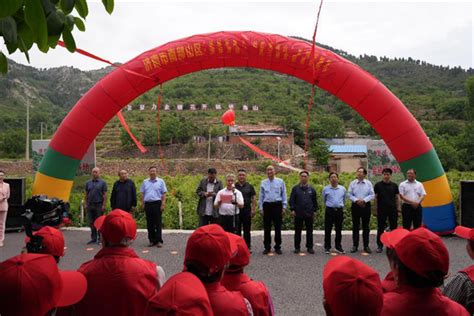 济南市南部山区第三届金银花采摘节在山东中烟济南卷烟厂定点帮扶村成功举办中国网