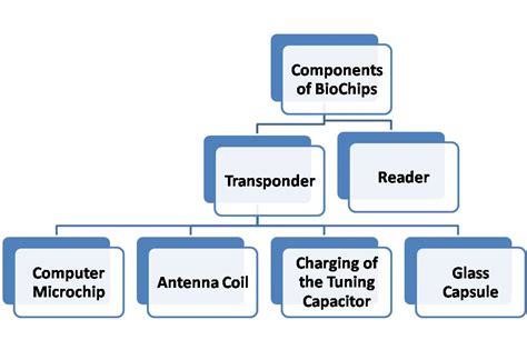 What Is A Biochip Working Principle Types Of Biochips And Applications