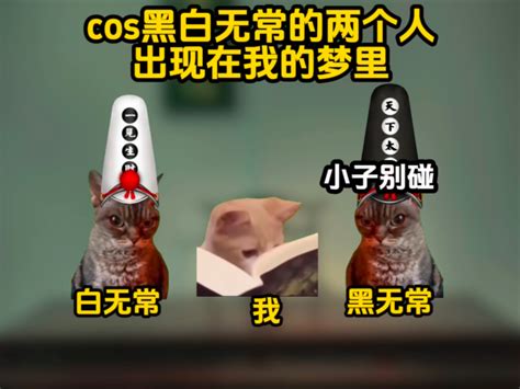 【黑客入门】msfvenom一款可远控ta电脑的工具进阶之给软件植入后门kaliweb网络安全渗透测试信息安全程序员小白