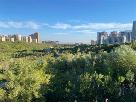 有多少年轻人已经没有工作的激情？ 知乎