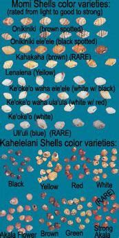 Discover 39 Hawaiian Niihau Shells And Niihau Shell Lei Ideas