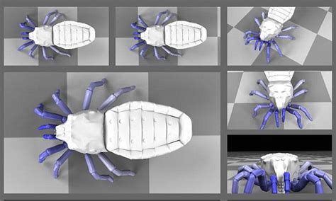 Primeval Giant Spiders