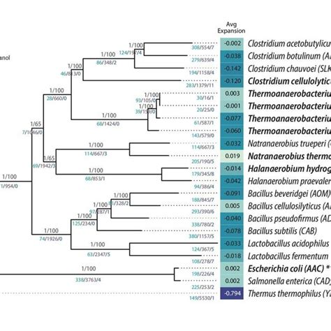 Heatmap Adapted From Currie Et Al Microarray Data Showing A Xylose