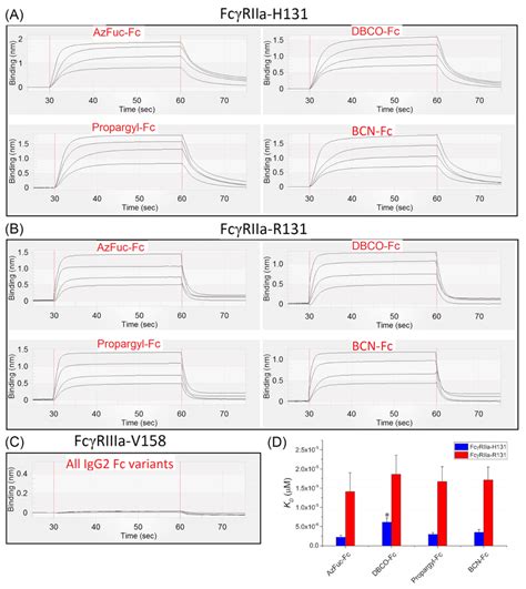 Biolayer Interferometry Bli Analyses Of Igg2 Fc Variants Binding To
