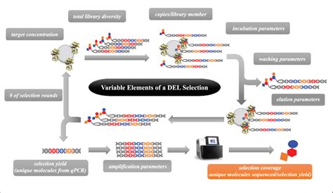 illustration of the variable elements of a del selection the results