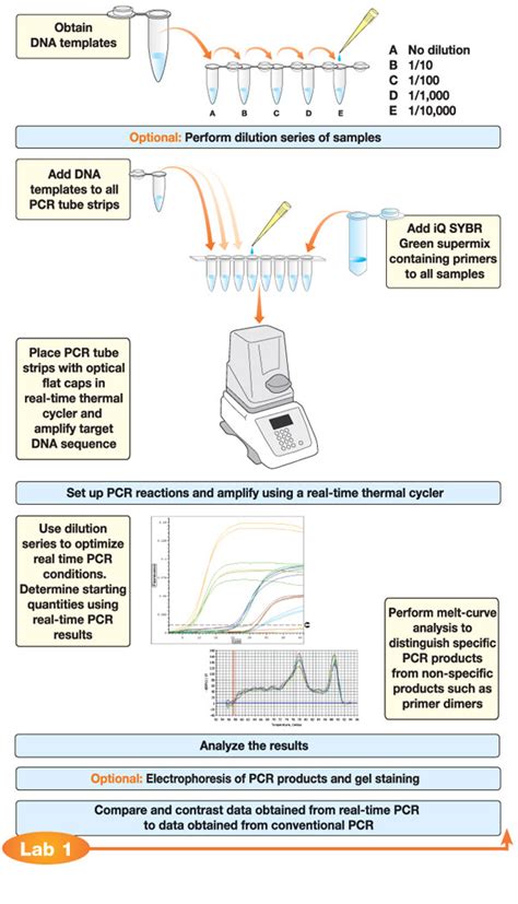 Crime Scene Investigator Pcr Basics™ Real Time Pcr Starter Kit Life