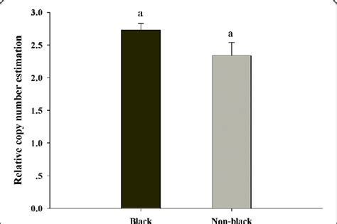 Relative Copy Number Estimation Of Edn3 In Black Bone And Non Black Download Scientific Diagram