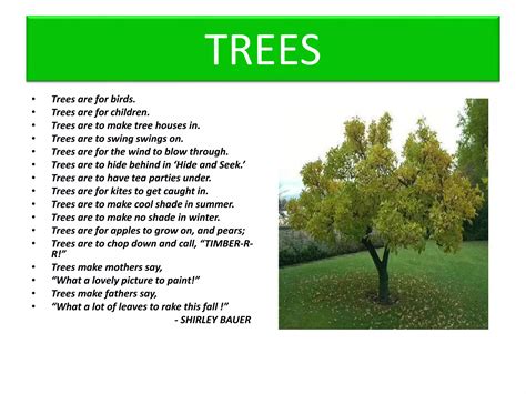 Trees Ppt