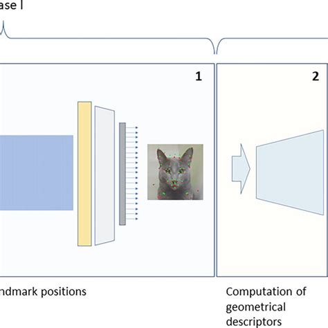 Schematic Diagram Of The Steps And Procedures For Automated Prediction