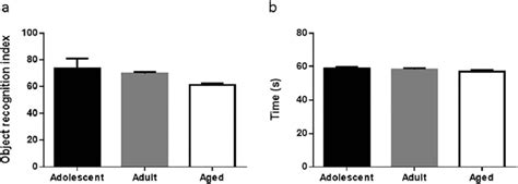 Novel Objet Recognition And Rotarod Test Graph A Shows Mean 6 Sem Download Scientific