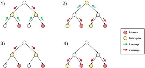 Example Of Belief Propagation In A Tree Structured Network The Network Download Scientific